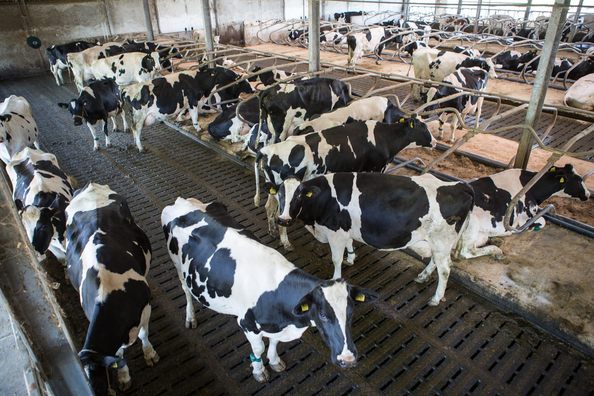 Wijzigingen MIA en VAMIL in 2025 - Boerderij