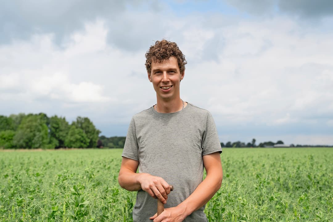 Gijs Schelhaas teelt gele erwten: stikstof besparen, goud in eco ...