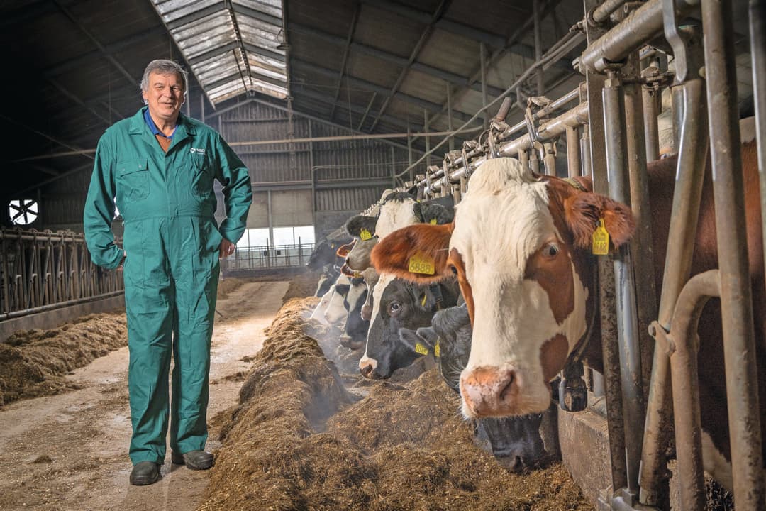 Rundveearts Henk Kuijk na 41 jaar met pensioen: ‘Van gezond maken naar ...