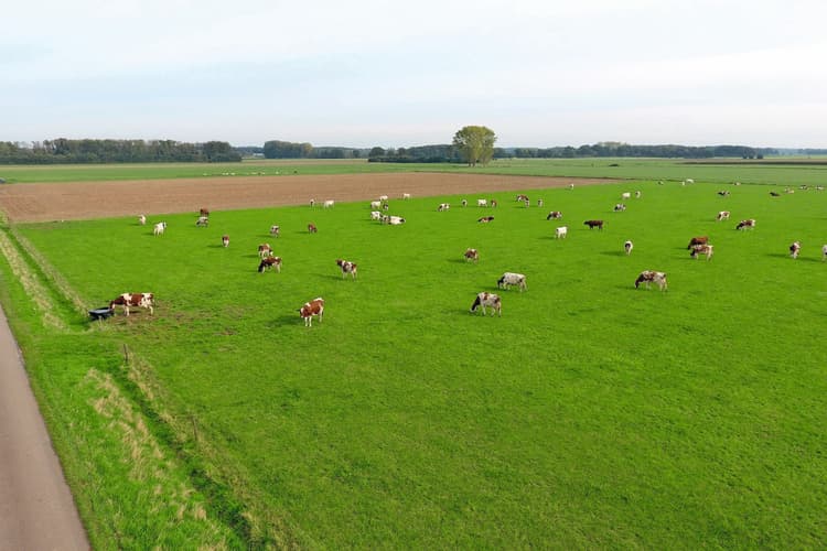Gemiddelde prijs grasland boven €100.000 per hectare - Boerderij