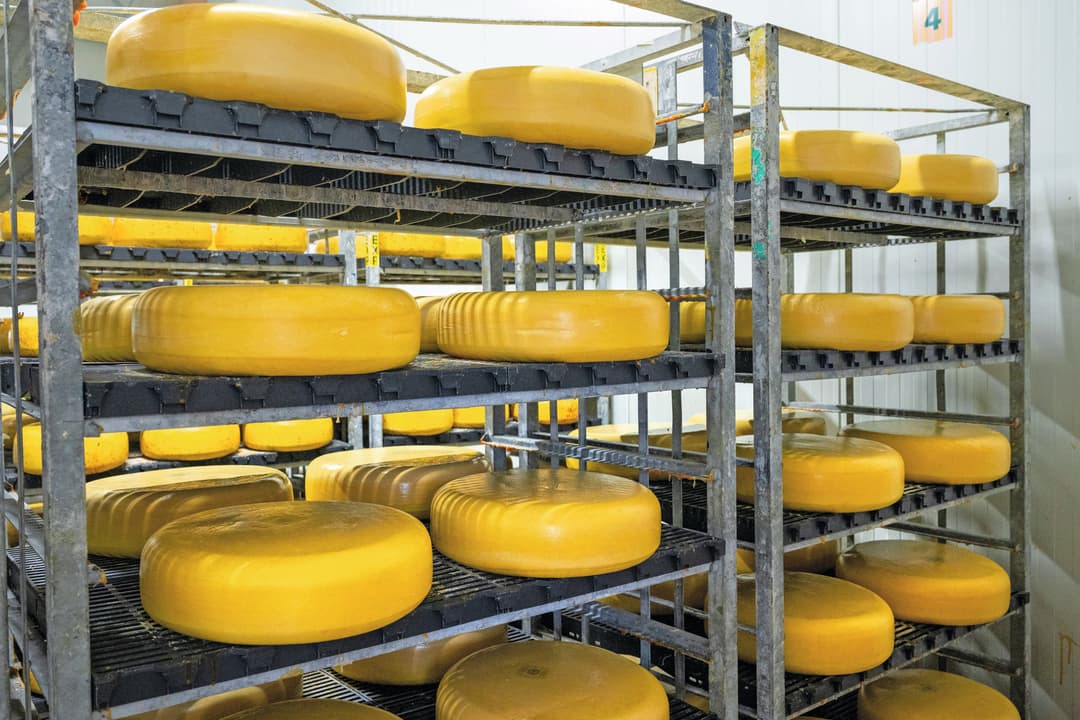 Nieuwe Hygiënecode voor boerderijzuivel vanaf 1 mei - Boerderij