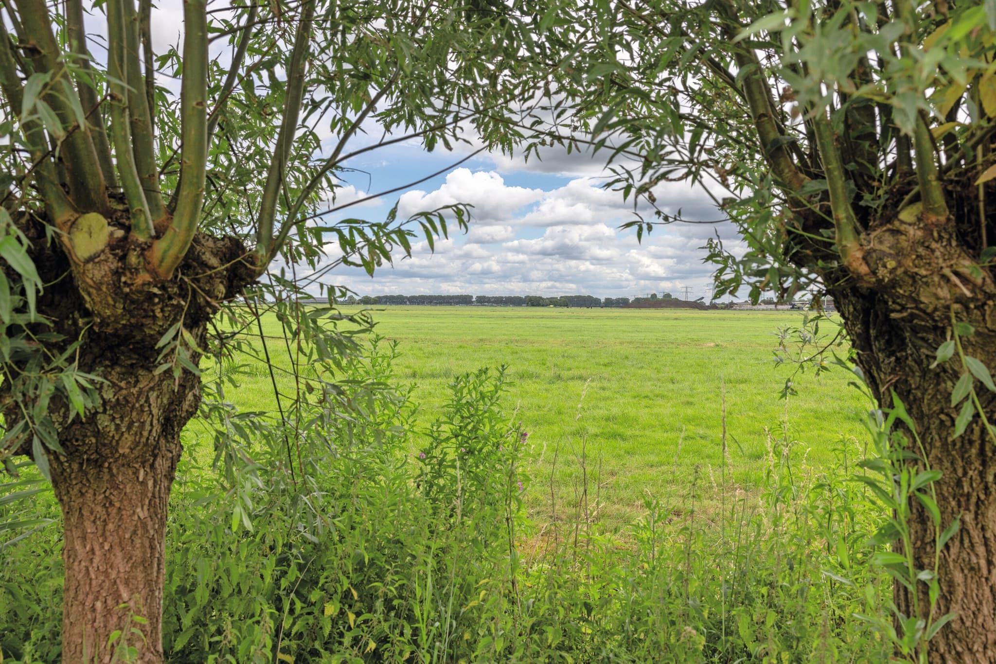 Minister Van Essen: voor zomer duidelijkheid over ANlb-geld - Boerderij