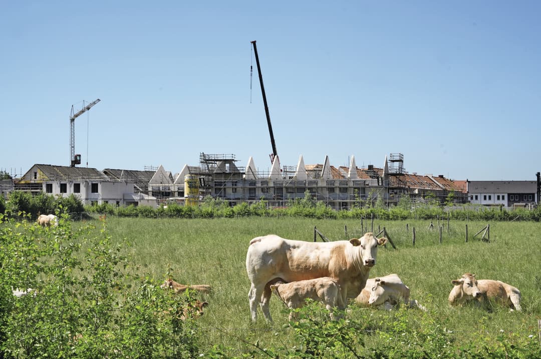 Niet bewust, wel onnadenkend en ongelukkig - Boerderij