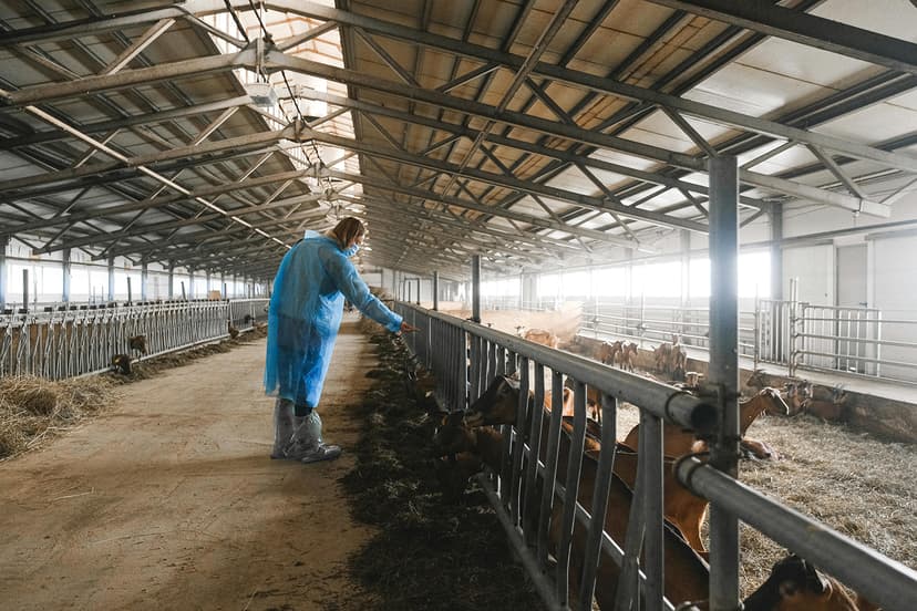 Hoe agrarische ondernemers hun bedrijf beschermen - Boerderij