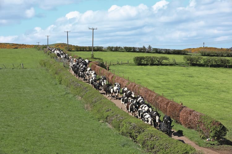 Lange reeks dodelijke ongevallen in Britse landbouw - Boerderij